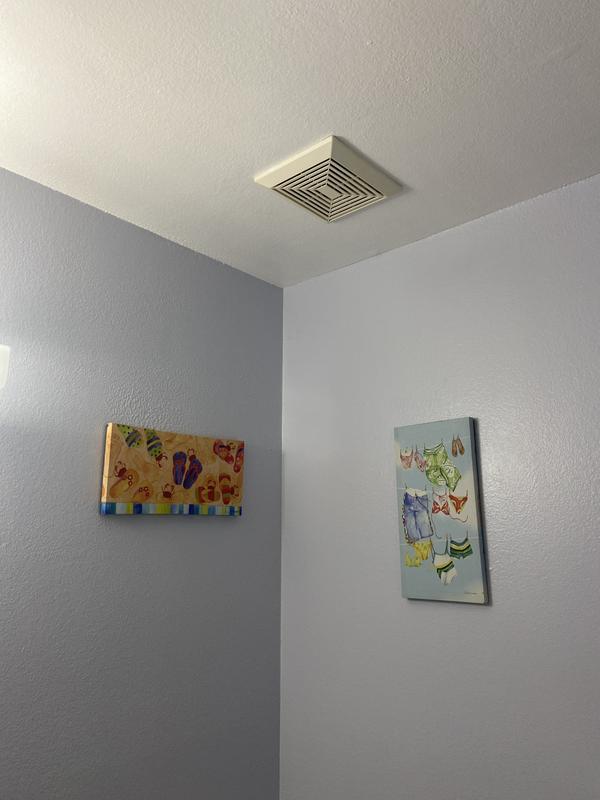 Valspar 4000 Semi-gloss Pale Bloom 7002-8 Latex Interior Paint (1 ...