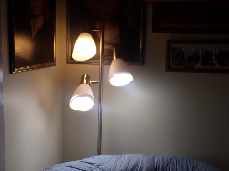 Green Watt 100-Watt EQ Warm White E26 Dimmable Spot and Flood Light ...