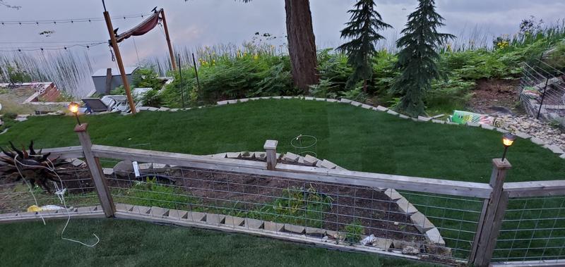 Harmony Outdoor Brands 500-sq ft Natural Ryegrass Sod Pallet ...