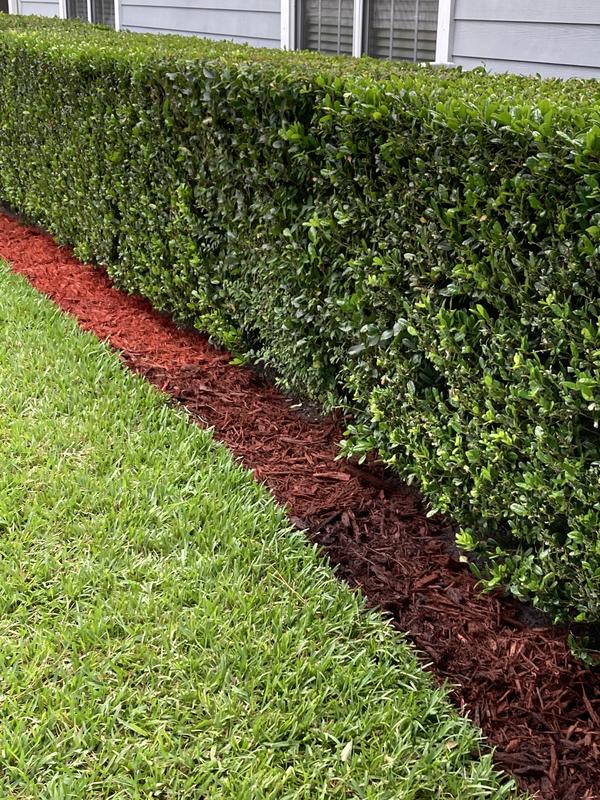 Timberline 2-cu ft Red Hardwood Mulch 52058069 at Lowes.com