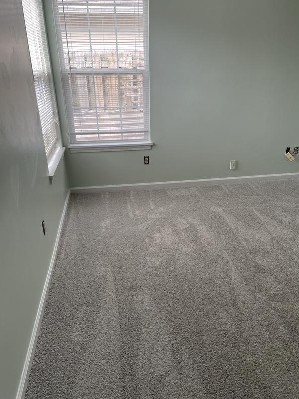 STAINMASTER Paradise I Sandy Brown 45-oz sq yard Polyester Textured ...