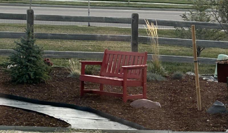 JEAREY HDPE 4-Piece Patio Chairs Set of 4 Dark Gray HDPE Frame ...