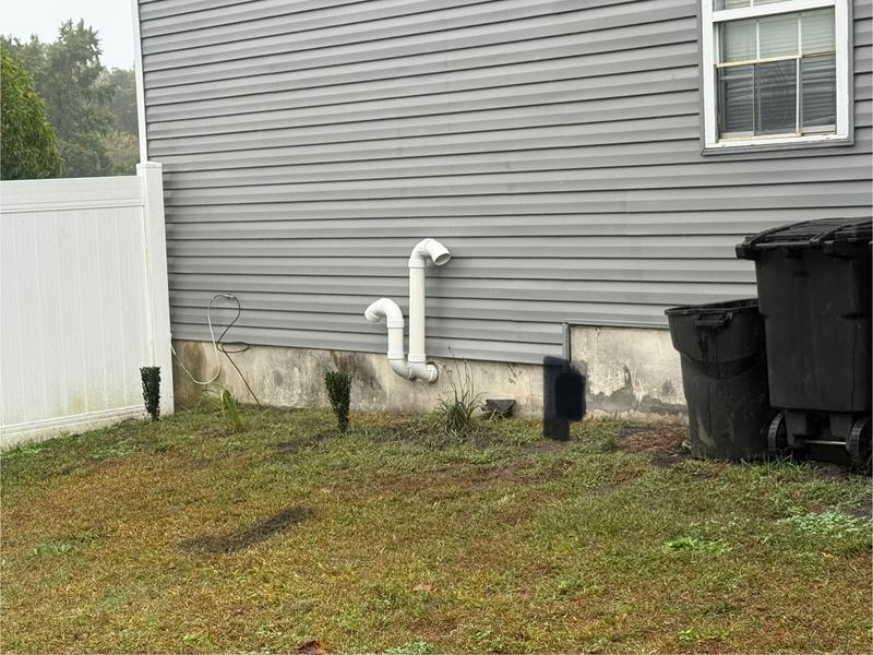 White Sky Pencil Holly Foundation/Hedge Shrub in 2.5-Quart Pot O478401 ...