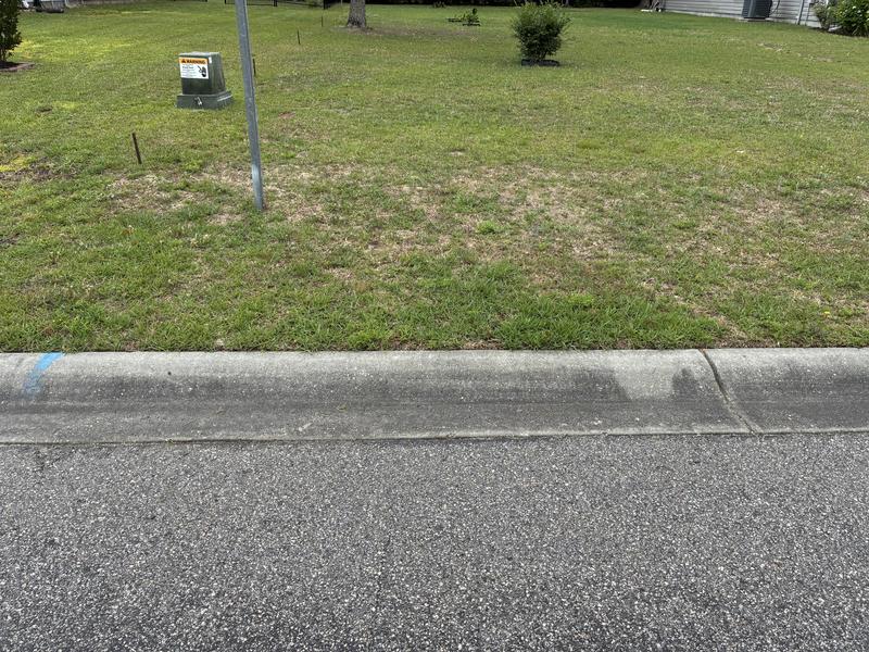 Shop Scotts Lawn Restoration - Bermuda Grass Seed at Lowes.com