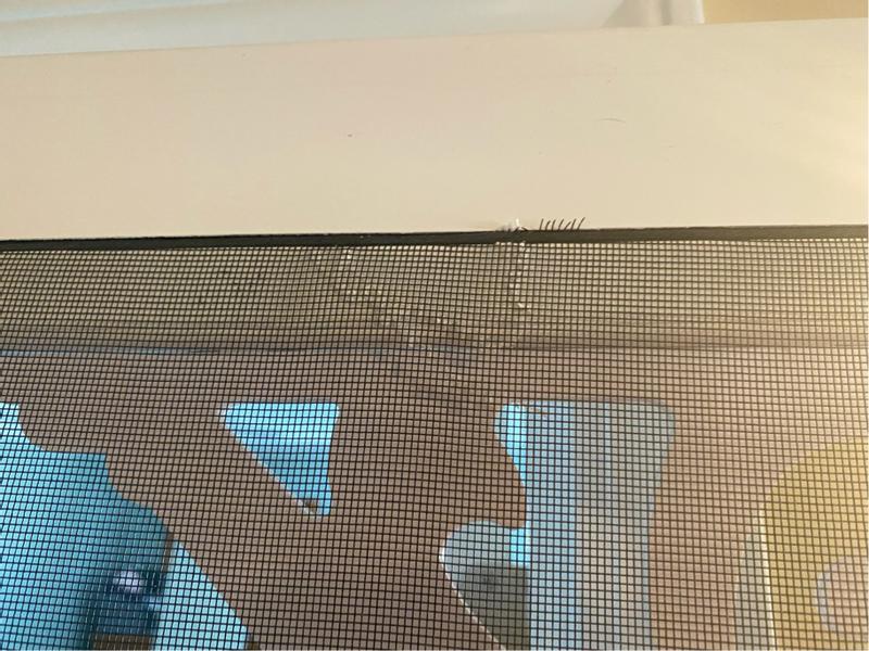 Screen Tight Springview Universal reversible Hinged Screen door 30-in x ...