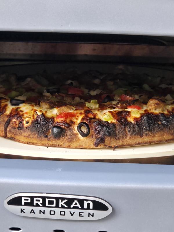 Prokan Grills KANO 16" Insulated steel Hearth Liquid propane Outdoor Pizza Oven in the Outdoor ...