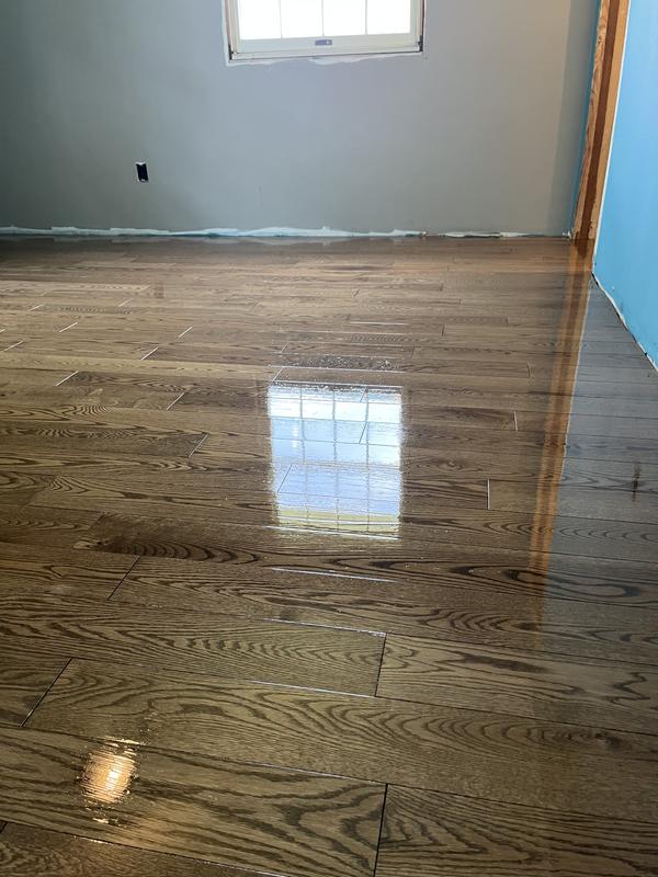 Minwax 10-in x 4-in Lambskin Floor Applicator Lambskin Stain pad in the ...