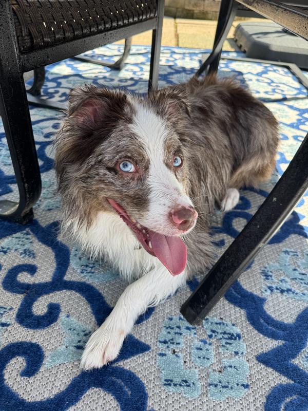 JONATHAN Y Amalfi Coast Gallia Tile High-Low 2 X 10 (ft) Light Gray ...