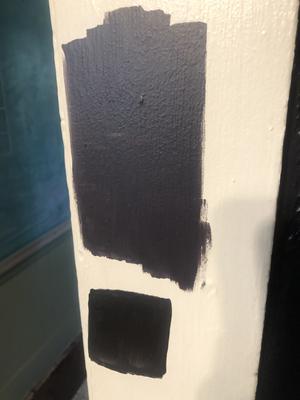 HGTV HOME by Sherwin-Williams Venomous HGSW1232 Tintable Paint sample ...