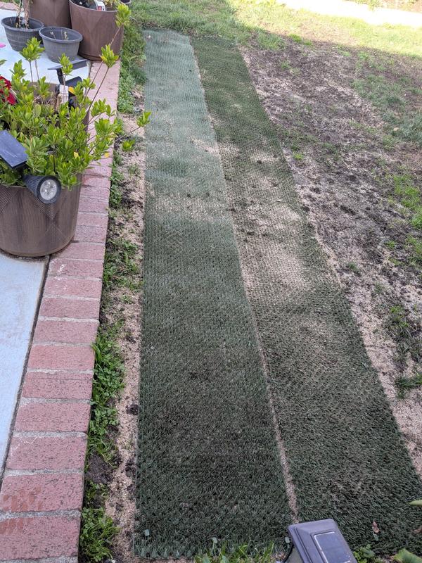 DURAGRASS Hybrid Turf Patch 15-ft-ft x 1.5-ft Artificial Grass 10377009 ...