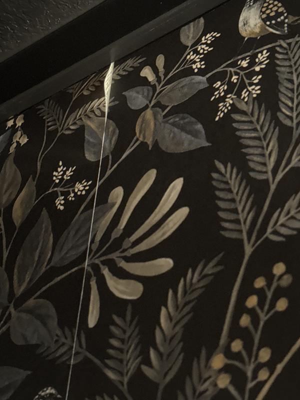 Chris Loves Julia x WallPops 30.75-sq ft Green Vinyl Ivy/Vines Self ...
