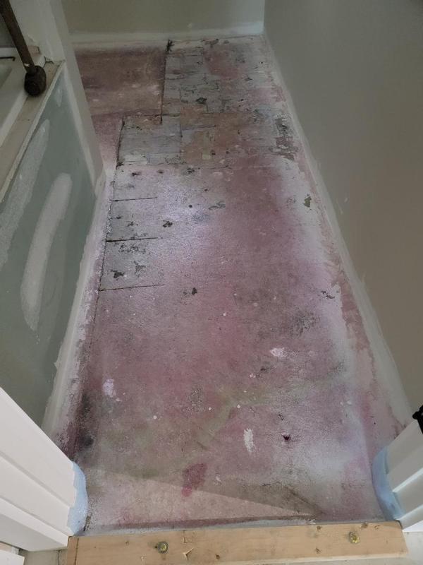 MAPEI Self Leveler Plus 50-lb Powder Indoor Self-leveling Underlayment ...