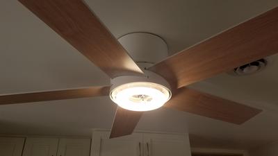 Hunter Vicinity 52-in Fresh White with Fresh White/Natural Wood Blades ...