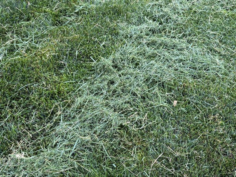 Toro Recycler 60-volt 21-in Cordless Self-propelled Lawn Mower 6 Ah (1 ...