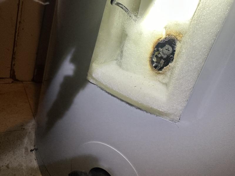 A.O. Smith Signature 100 50-Gallons Short 6-year Warranty 4500-watt ...