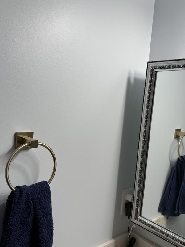 BYH Aura Brushed Nickel Wall mount Single Towel Ring in the Towel Rings ...