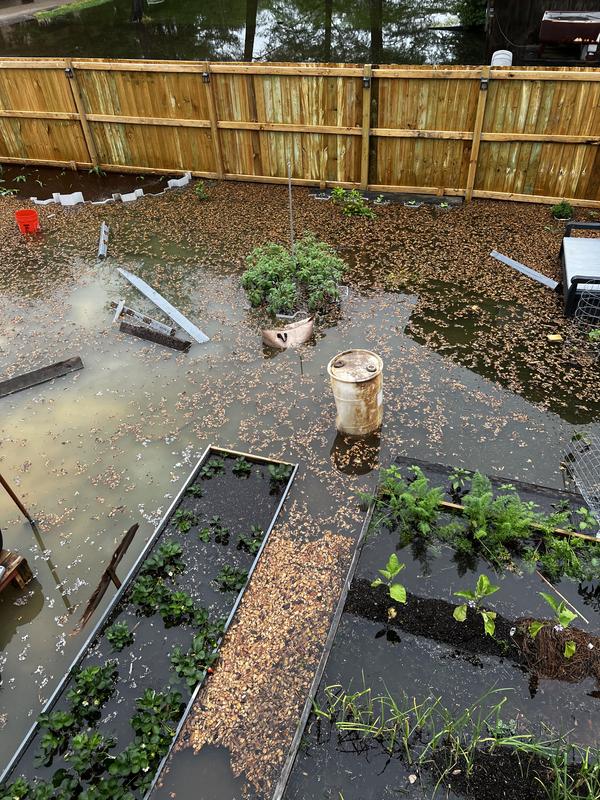 NoFloat 2-cu ft Cypress Blend Mulch in the Bagged Mulch department at ...
