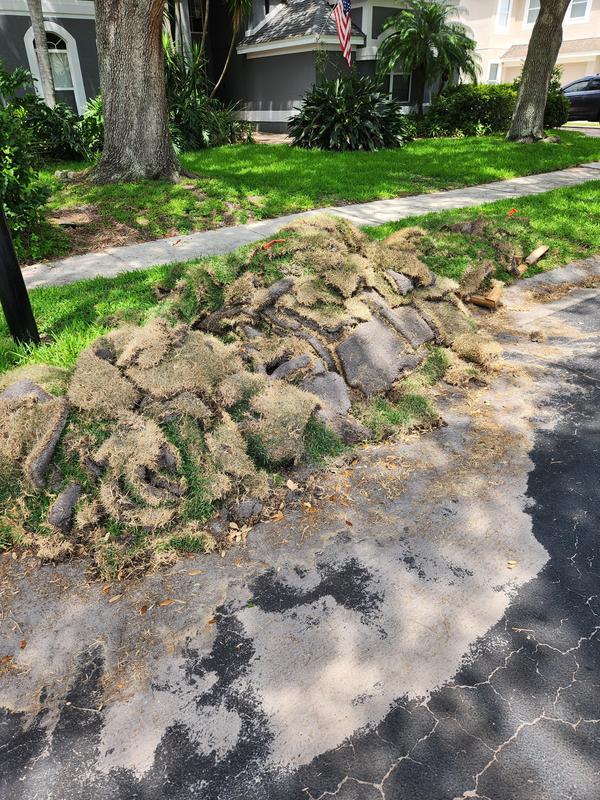 Harmony Outdoor Brands 500-sq ft Natural Zoysia Sod Pallet ZOYS500DCOM ...