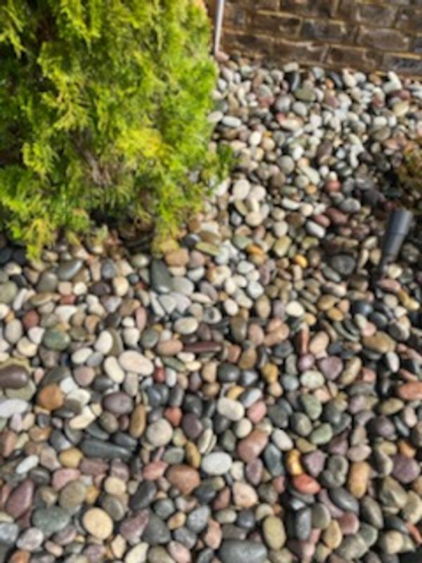 Rain Forest Brown Mixed Polished Pebbles 1-2-in 30lbs - Decorative Rock ...
