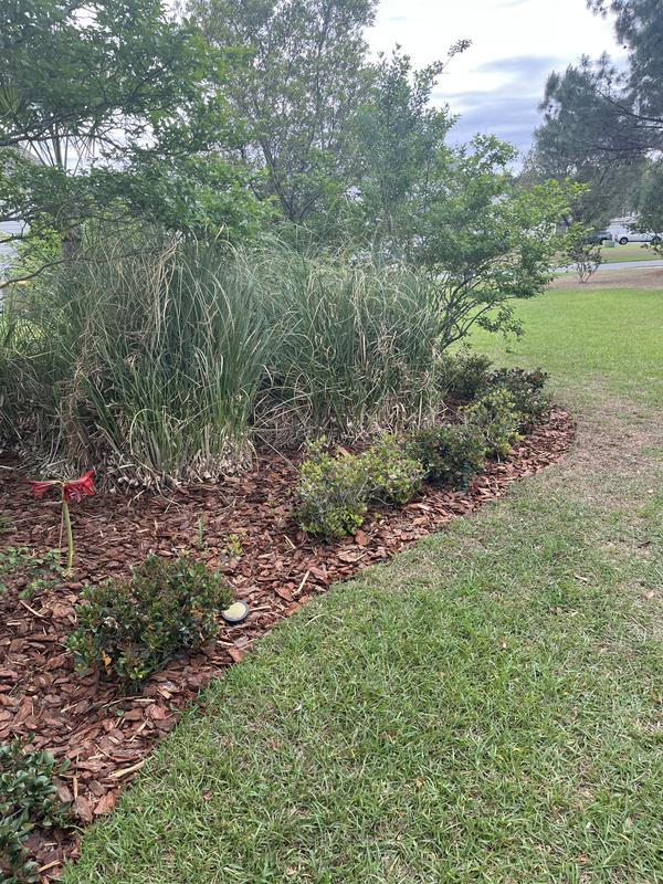 Flowerwood 2.5 -Gallon Eleanor Taber Indian Hawthorn Foundation/Hedge ...