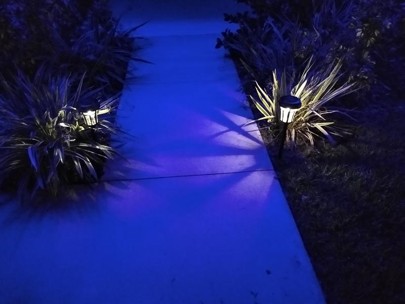 Portfolio 2-Pack 100-Lumen-Watt Black Solar LED Outdoor Path Light with Motion Sensor (3300 K ...