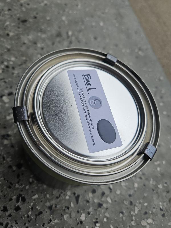 Color Baggage Project Paint Satin Rush Acrylic Interior/Exterior Door ...