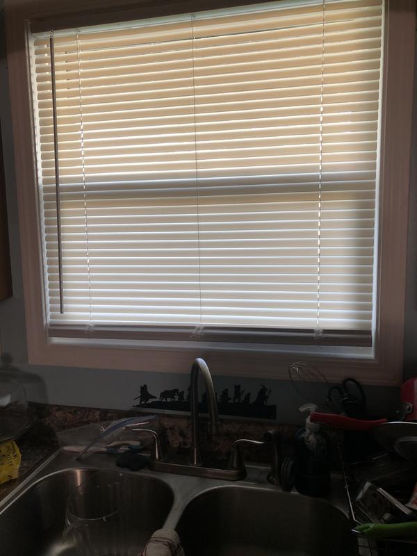 Project Source 1-in Slat Width 71-in x 48-in Cordless White Vinyl Light ...