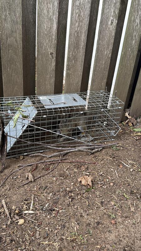 SVOPES Traps in the Animal & Rodent Control department at Lowes.com
