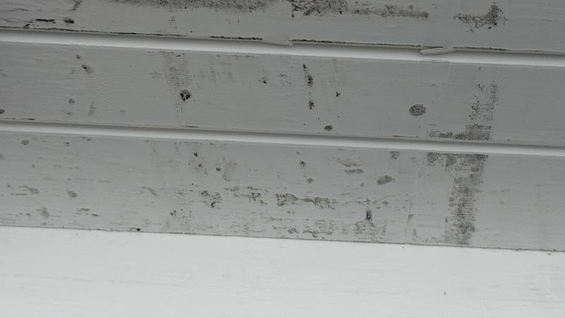 Therma Tru 36-in x 80-in x 4-9/16-in Fiberglass Full lite Left-hand ...