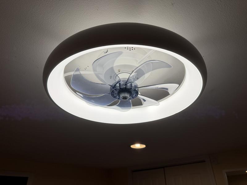 Siljoy 20 In White Flush Mount Modern Ceiling Fan With Led Lights For