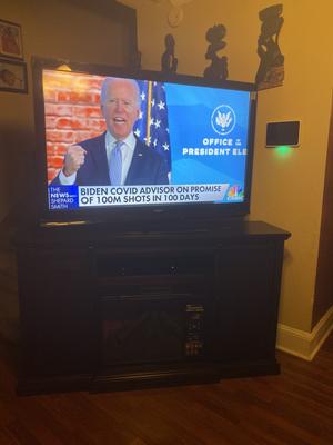 FEBO FLAME 62-in W Walnut Free standing Infrared quartz Flat wall ...