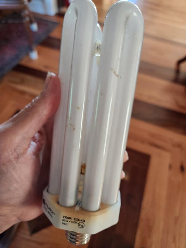 Utilitech Tri-Tube 300 -Watt EQ Cool white CFL General purpose Light ...