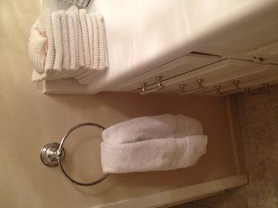 allen + roth Raleigh Polished Chrome Wall Mount Single Towel Ring at ...