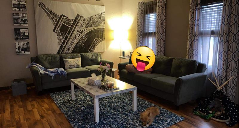 Safavieh Rio Santo Shag 3 X 5 (ft) Black/Ivory Indoor Throw Rug SG960H ...