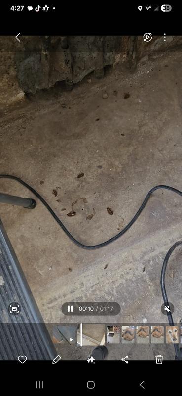 Raid 1.5-oz Defend Concentrate Deep Reach Fogger Roach Killer Fogger (4 ...