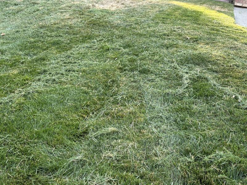 Toro Recycler 60-volt 21-in Cordless Self-propelled Lawn Mower 6 Ah (1 ...