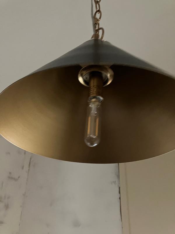 LNC Penstemon 1 -Light Polished Gold and T extured Resin Modern ...