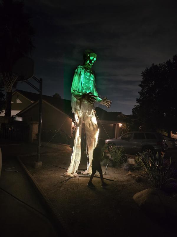 Haunted Living 12-ft LED Lighted Mummy Animatronic 552068 at Lowes.com