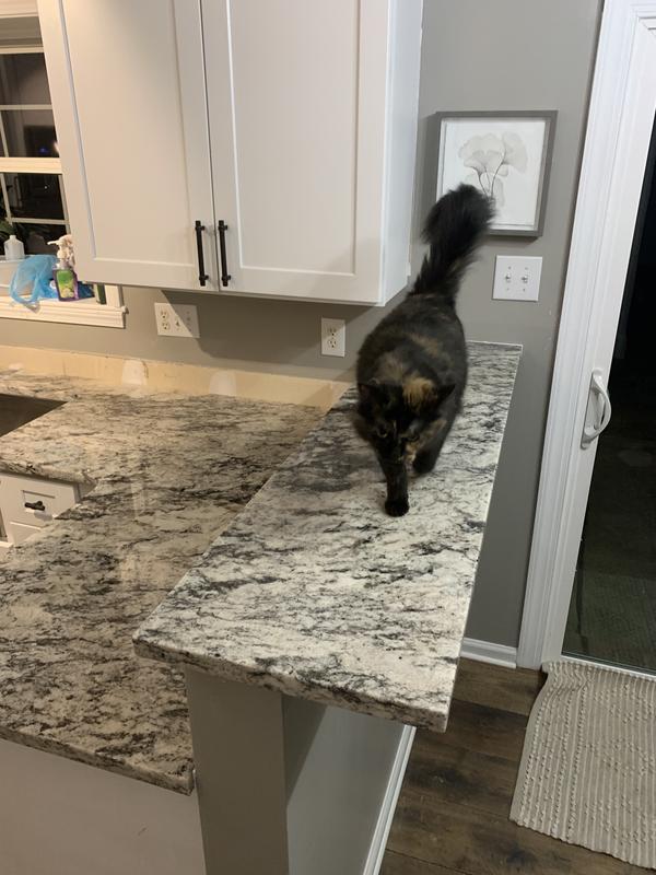 allen + roth Summit Granite Gray Kitchen Countertop SAMPLE (4-in x 4-in ...