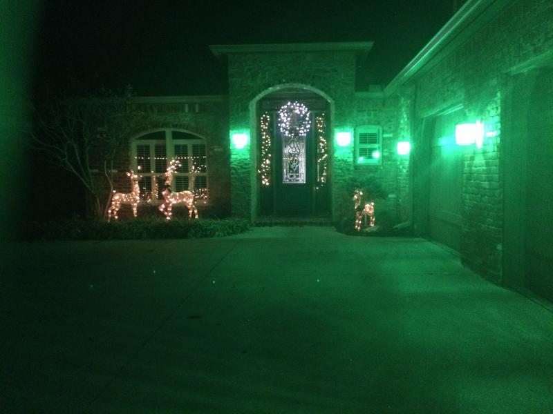 Holiday Living 48-in Deer Free Standing Decoration with Clear ...