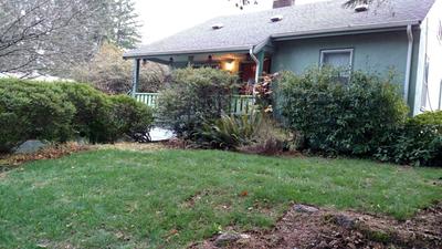 Harmony Outdoor Brands 500-sq ft Natural Ryegrass Sod Pallet ...