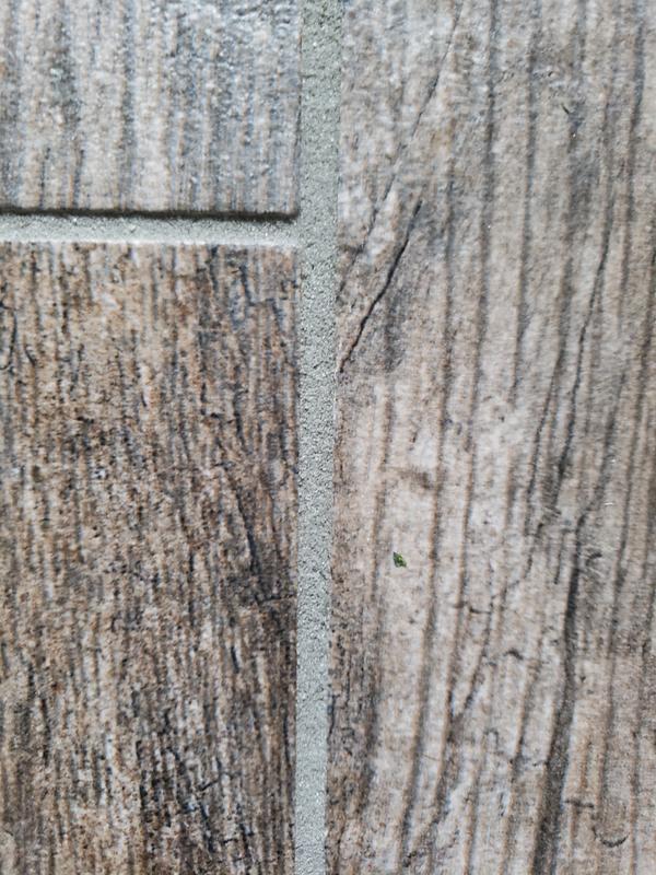 MAPEI Flexcolor LVT Ivory #5039 Sanded Acrylic Premix Grout (1-Quart ...