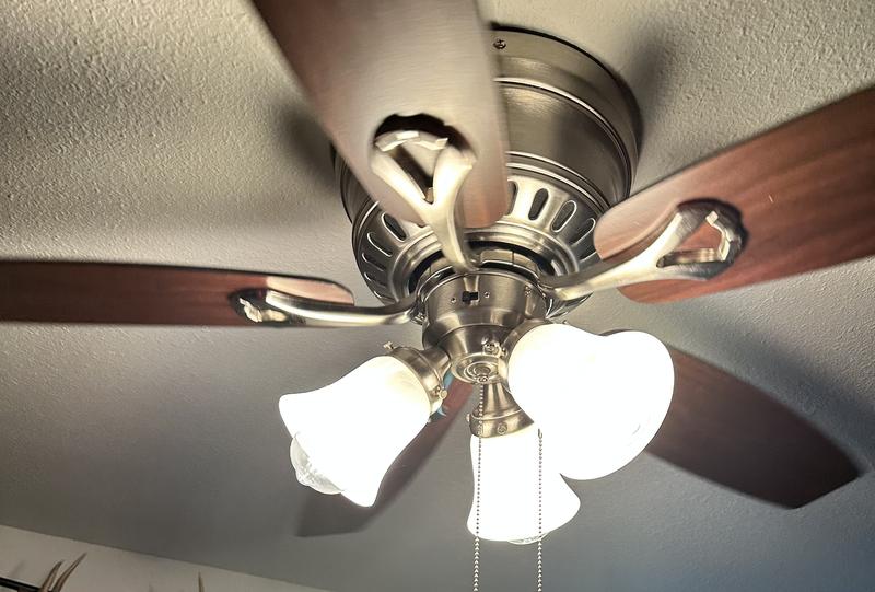 Utilitech Straight Filament 60 -Watt EQ ST19 Soft white Screw bases ...