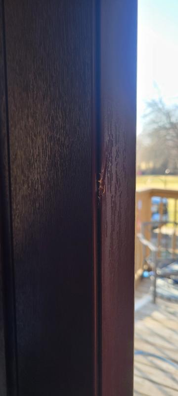 Therma-Tru Smooth Star Varissa Entry Door 36-in x 80-in x 6-9/16-in ...