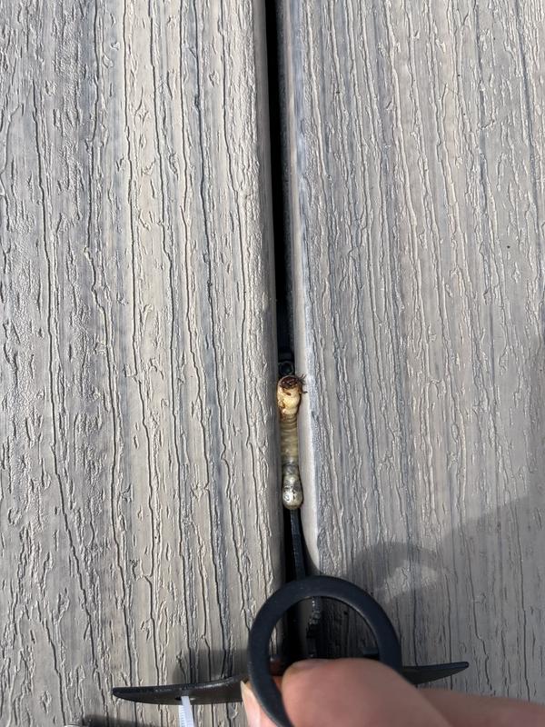 Danco Weeding Tool Multi-Tool 12027 at Lowes.com