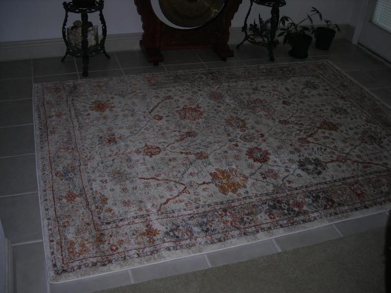 allen + roth with STAINMASTER Camille Border 5 X 8 (ft) Beige Indoor ...