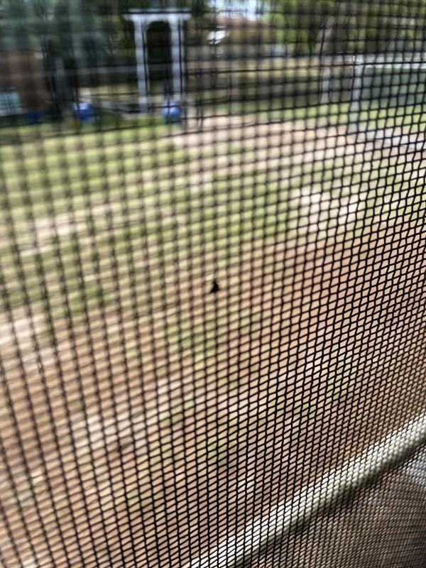 Phifer Pool and Patio 6-ft x 25-ft Silver Gray Fiberglass Screen Mesh ...