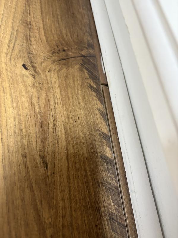 STAINMASTER PetProtect Beckett Ridge Chestnut 12-mm T x 7-1/2-in W x 47 ...