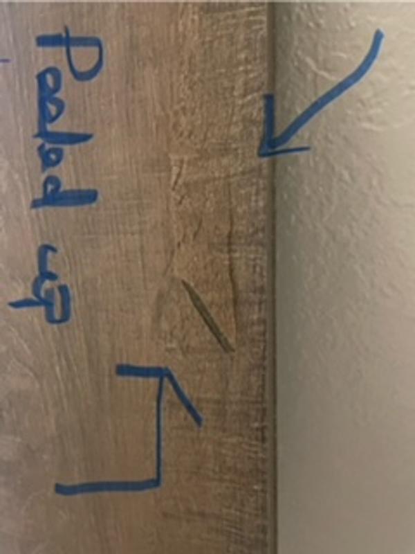 allen + roth (Sample) Allen+Roth Urbanite Oak Water Resistant Wood ...