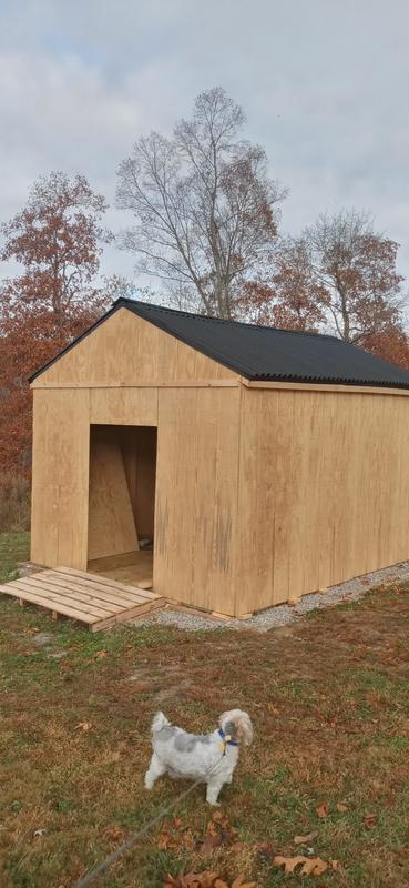 Ondura Premium Series 16-in x 39.5-in Cellulose fiber/asphalt Roof ...